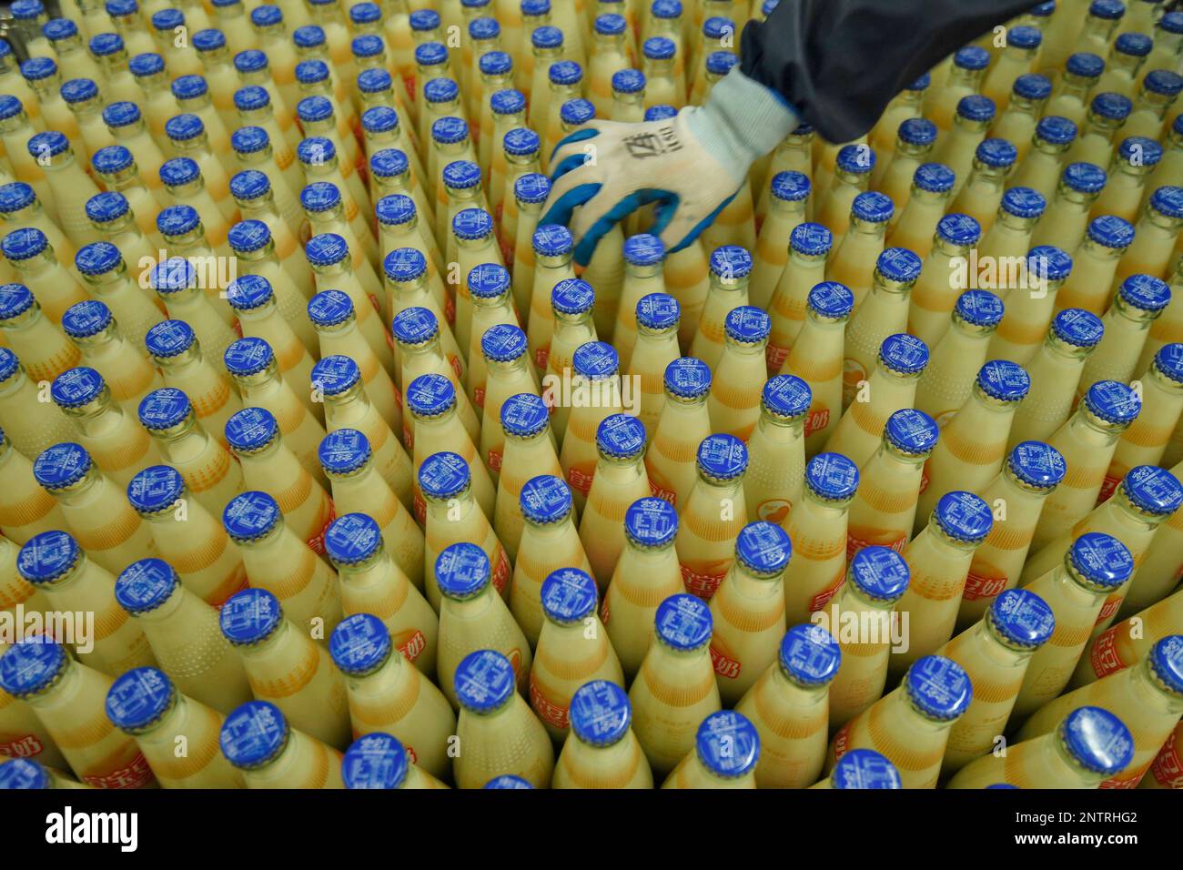 A staff works at a soy milk factory in Nanning in south China's Guangxi ...