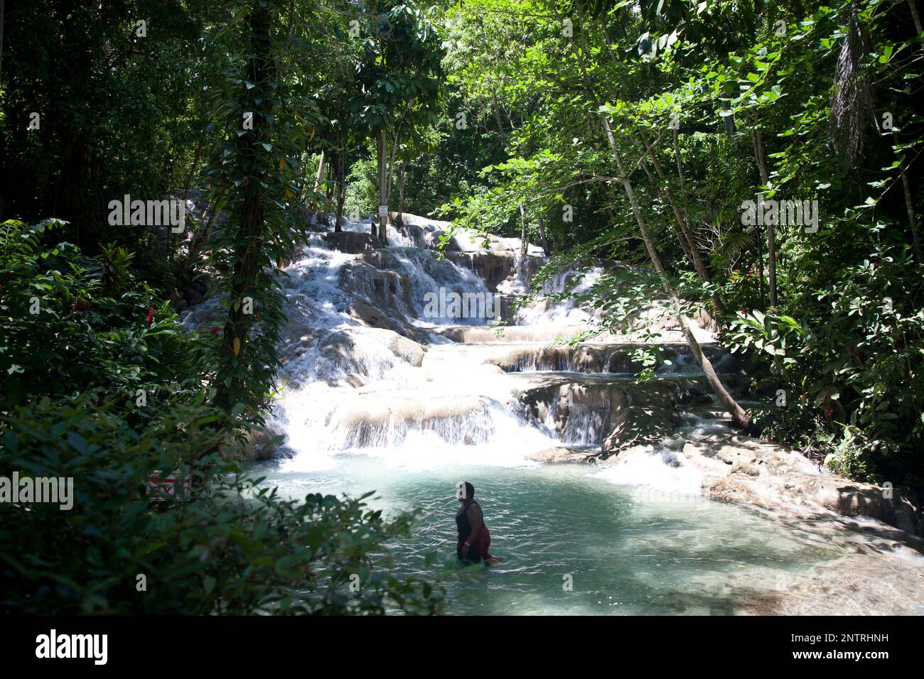 Dunns river falls, Ocho Rios, Jamaica Stock Photo - Alamy