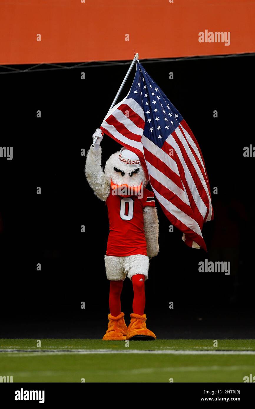 University of Miami Hurricanes mascot, Sebastian the Ibis, holds the ...