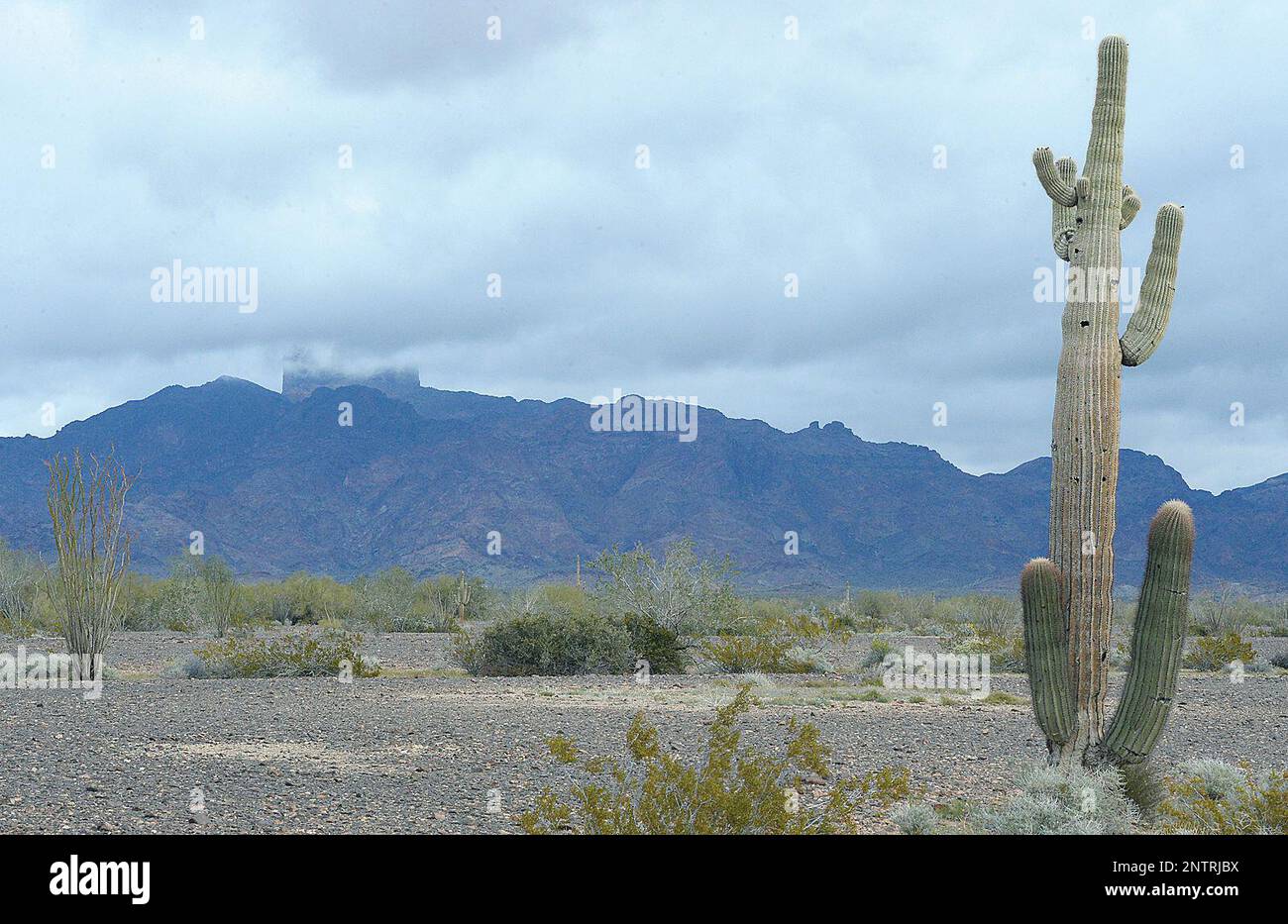 Castle Dome, located in the Castle Dome Mountains northest of Yuma ...