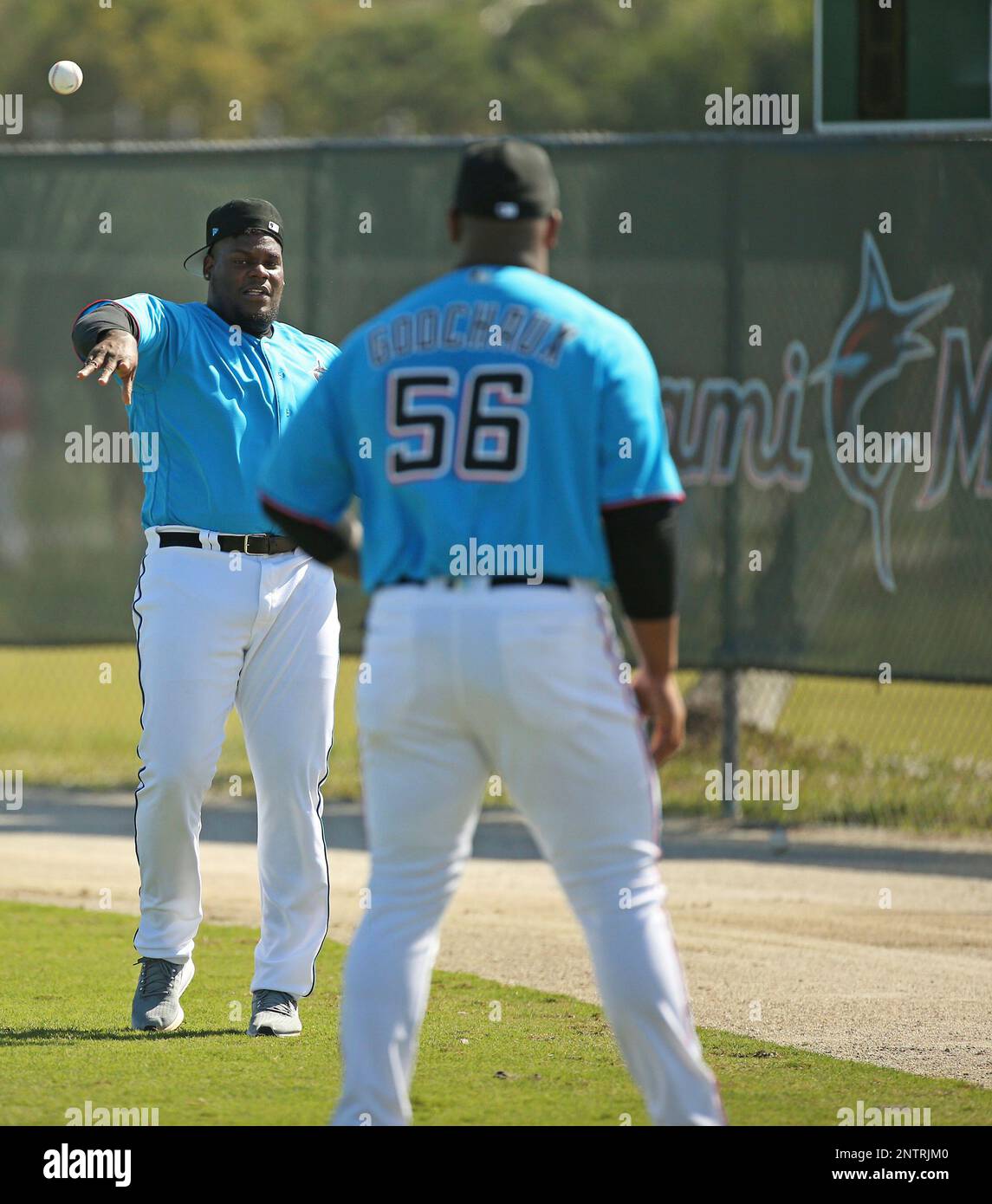 Miami Dolphins NFL football players Vincent Taylor, left, and Davon ...