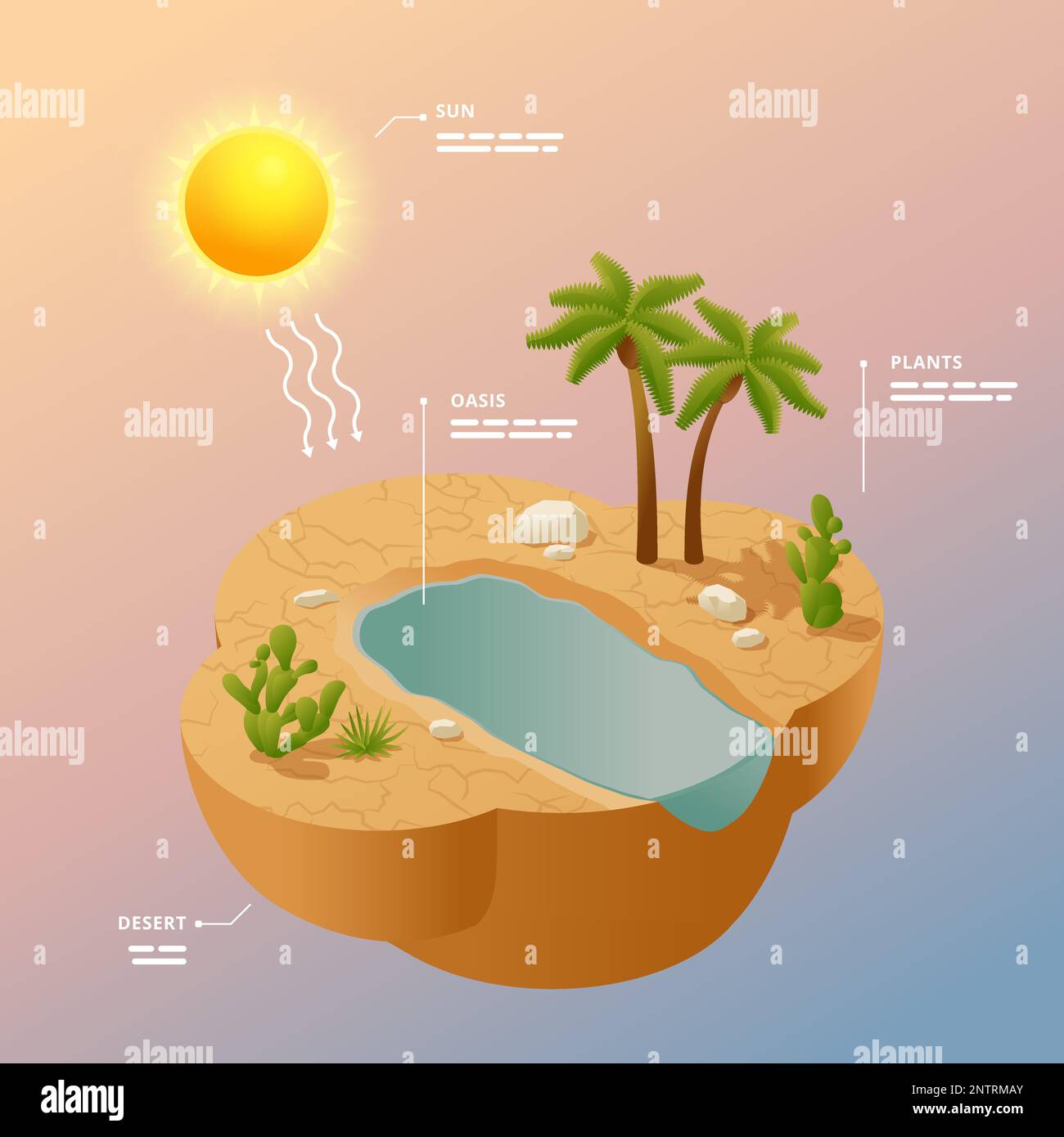 Desert landscape isometric infographics poster with sun oasis in sands and south plants vector ...
