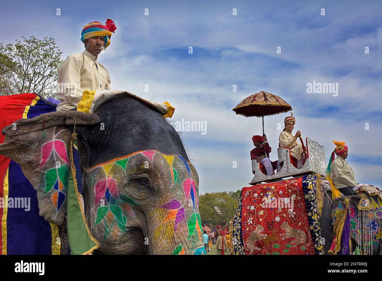 Elephant Festival,Jaipur, Rajasthan, India Stock Photo - Alamy