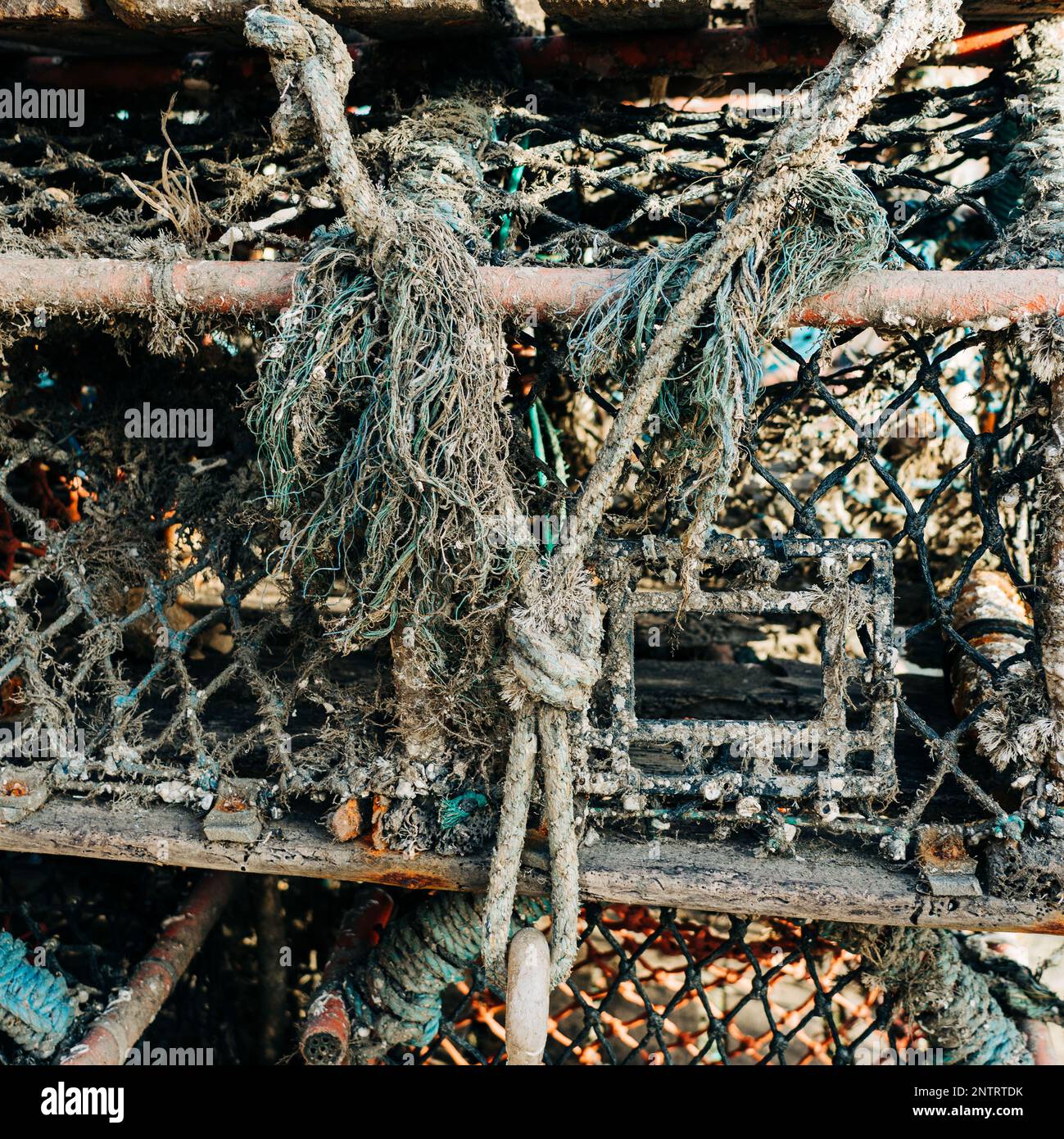 Crab fishing boxes and nets. Ropes and string tying them together Stock ...