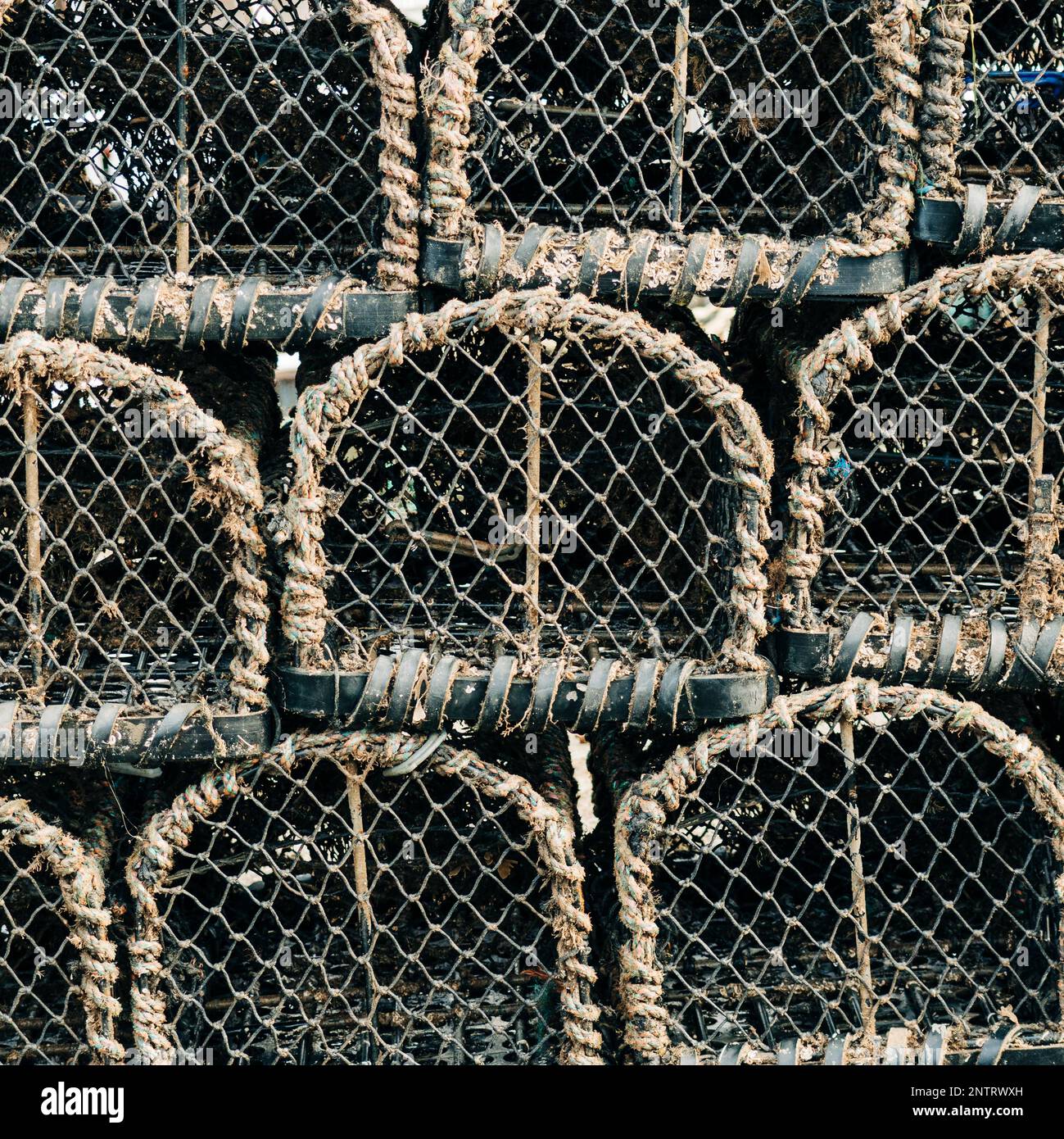 Crab fishing boxes and nets. Ropes and string tying them together Stock ...