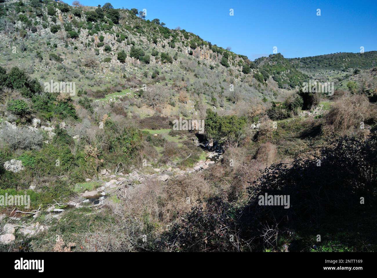 View of the natural area of Parco Mariani Stock Photo - Alamy