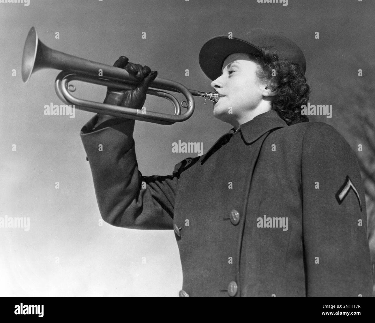 Bugle Black and White Stock Photos & Images - Alamy