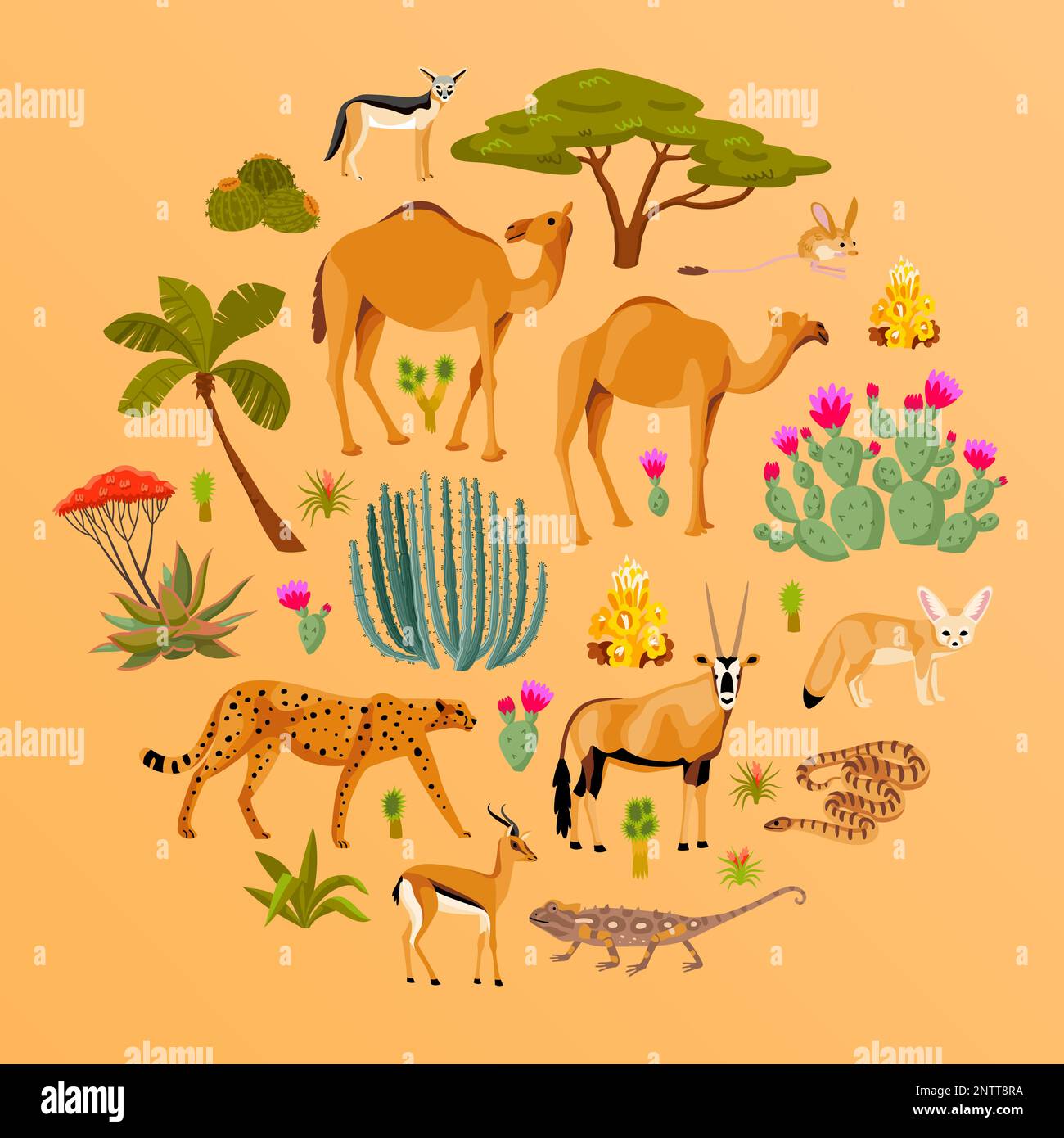 Desert round composition with cartoon representatives of flora and ...