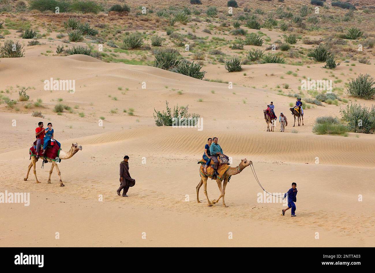 Tourists riding camels on Sam dunes in Desert National Park in the ...
