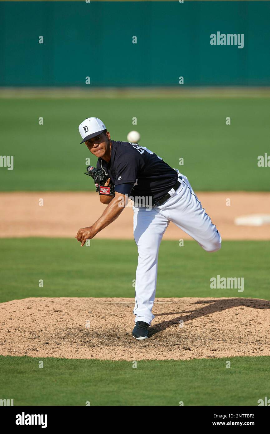 Detroit Tigers relief pitcher Jose Manuel Fernandez (57) delivers a ...