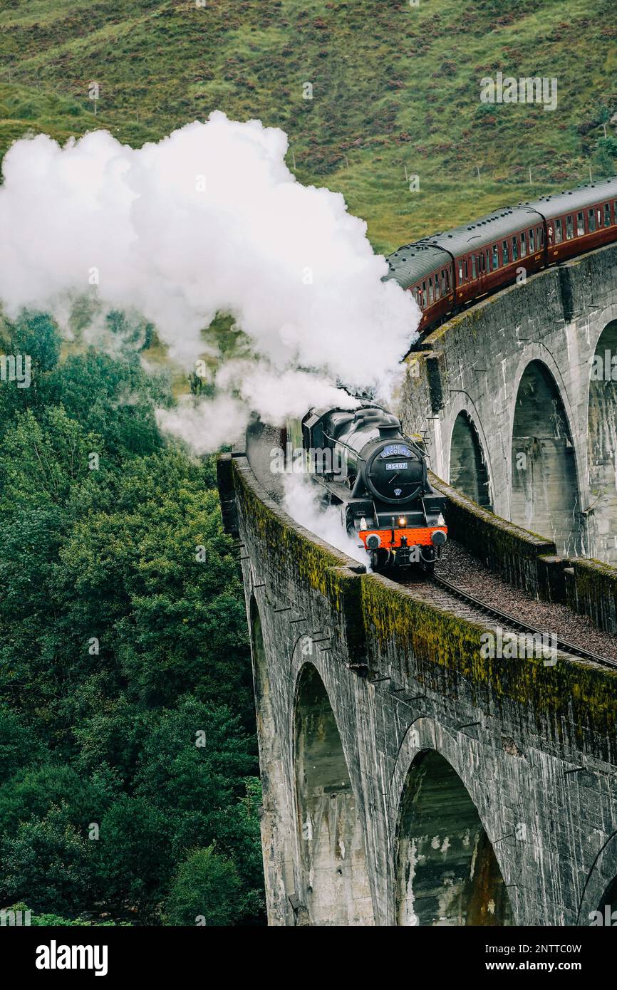 Steam Train Jacobite passing over the Glenfinnan Viaduct made famous by ...