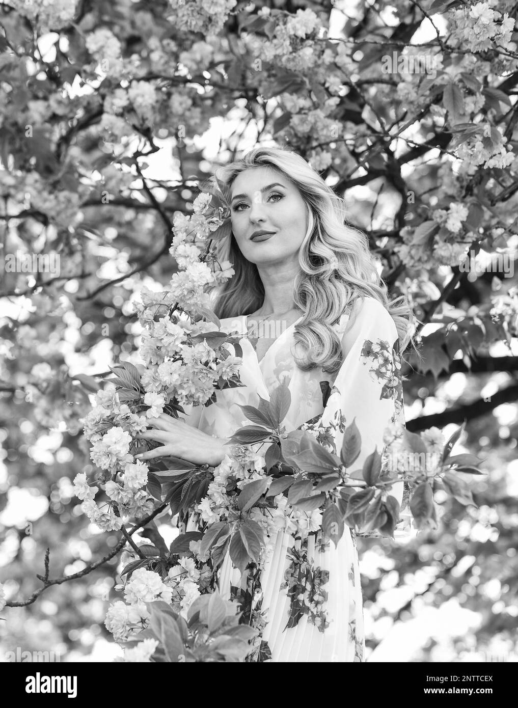 Harmony and female energy. Spring blossoming tree. Spring symbol. Girl ...