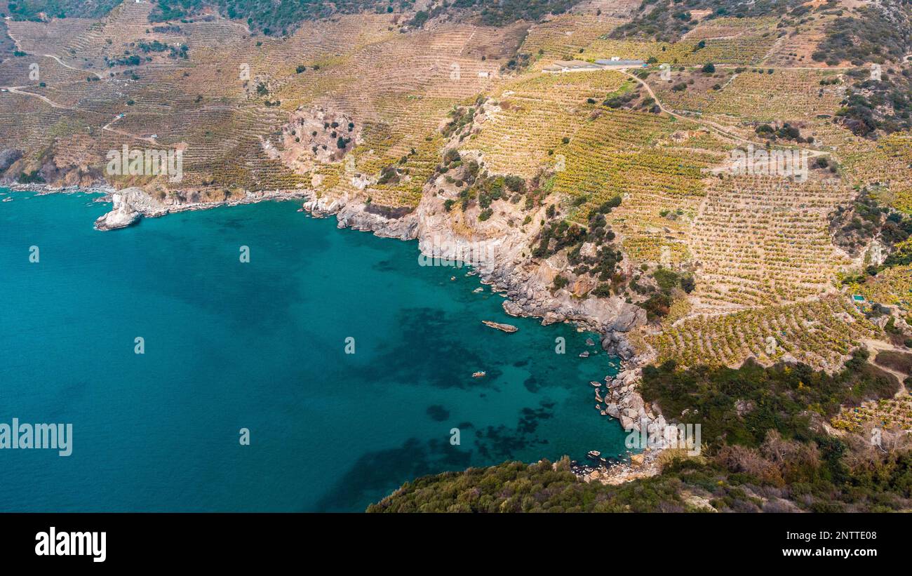 Turquoise bay and banana plantations on mountainside from a bird's-eye ...