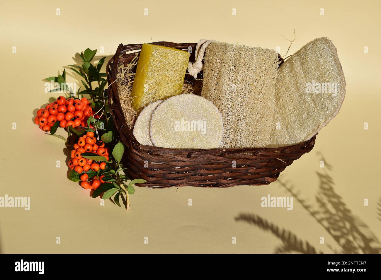 Natural Luffa Sponge. Body scrap with natural sponge Stock Photo - Alamy