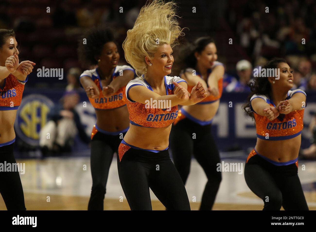 GREENVILLE, SC - MARCH 06: The Florida Gators dance team performs ...