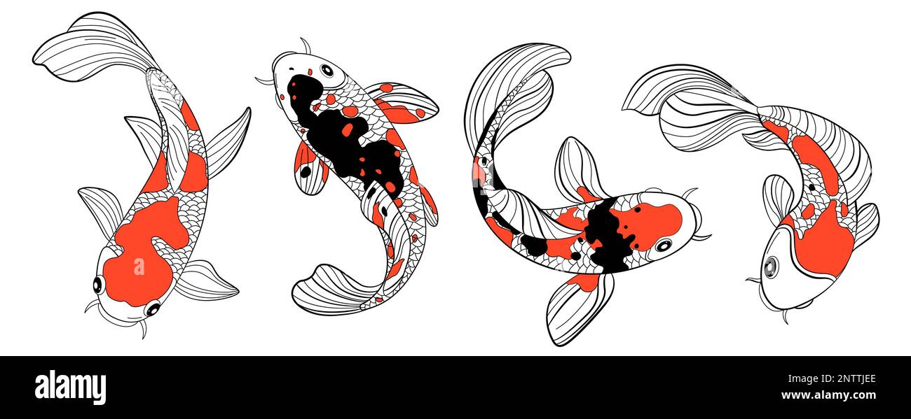 Koi fish color drawing with beauty symbols flat isolated vector ...