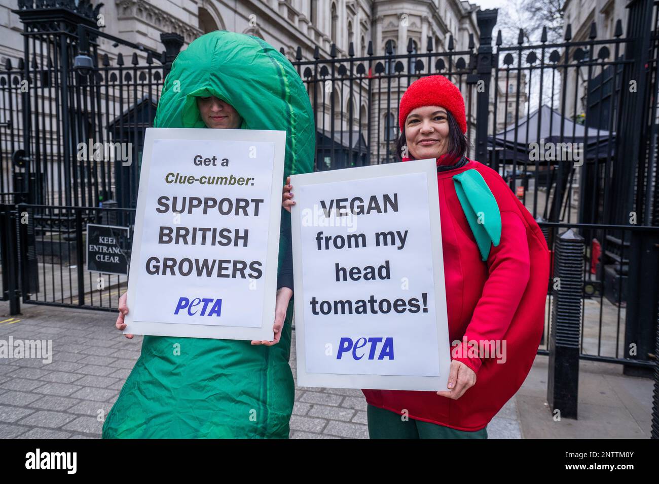 London, UK. 28February 2023. Two Peta protesters dressed as a cucumber ...