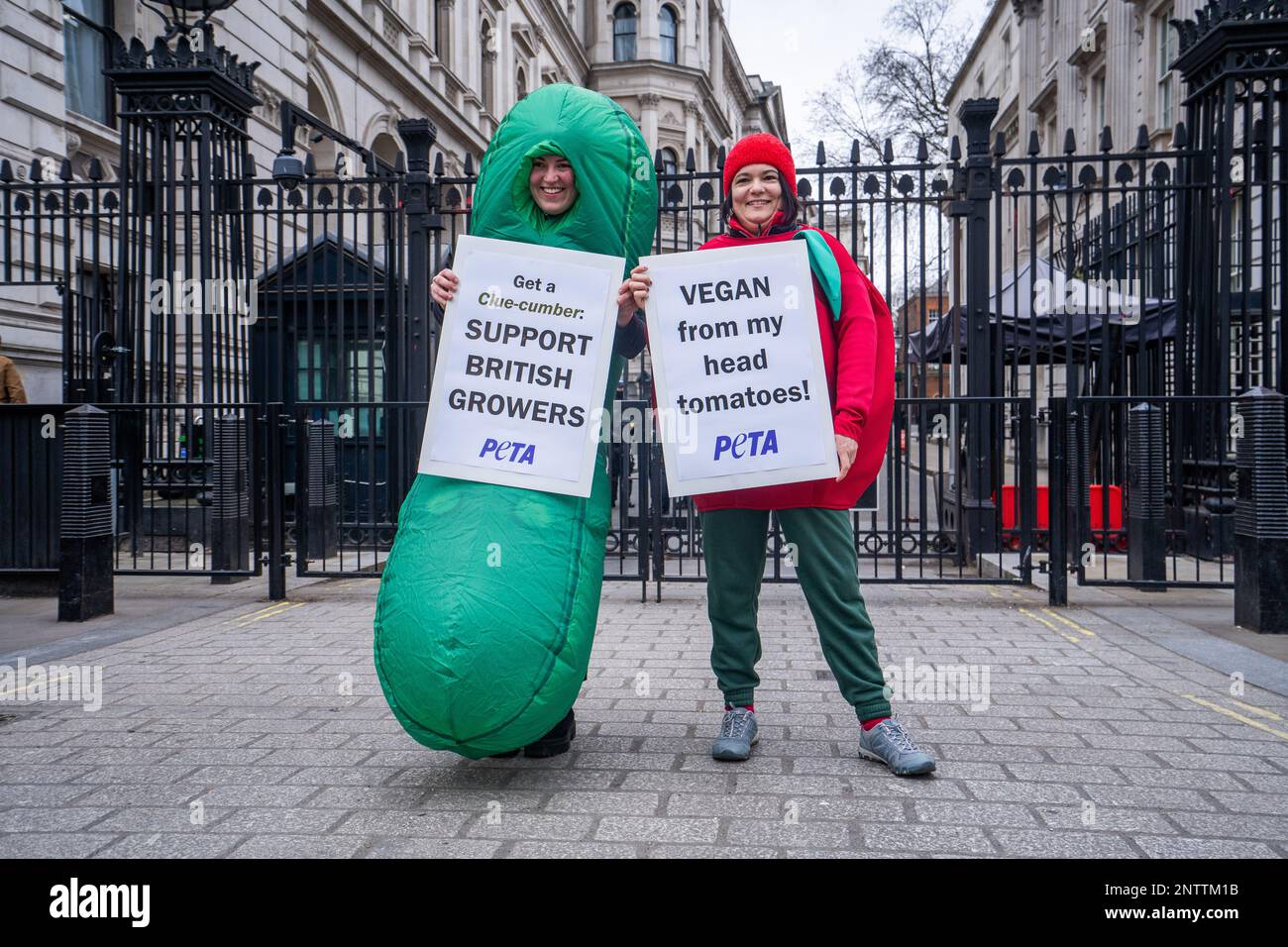London, UK. 28February 2023. Two Peta protesters dressed as a cucumber ...