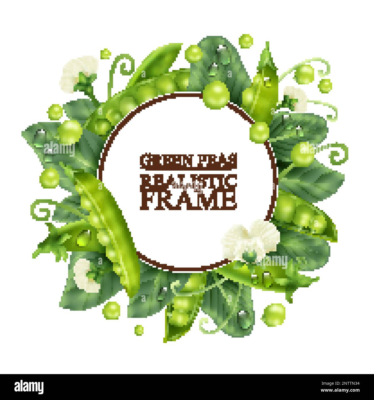 Realistic peas frame with greeen beans and plant flowers on white ...