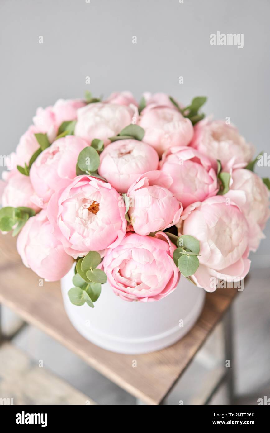 Pink peonies in pink round box. Beautiful peony for catalog or online ...