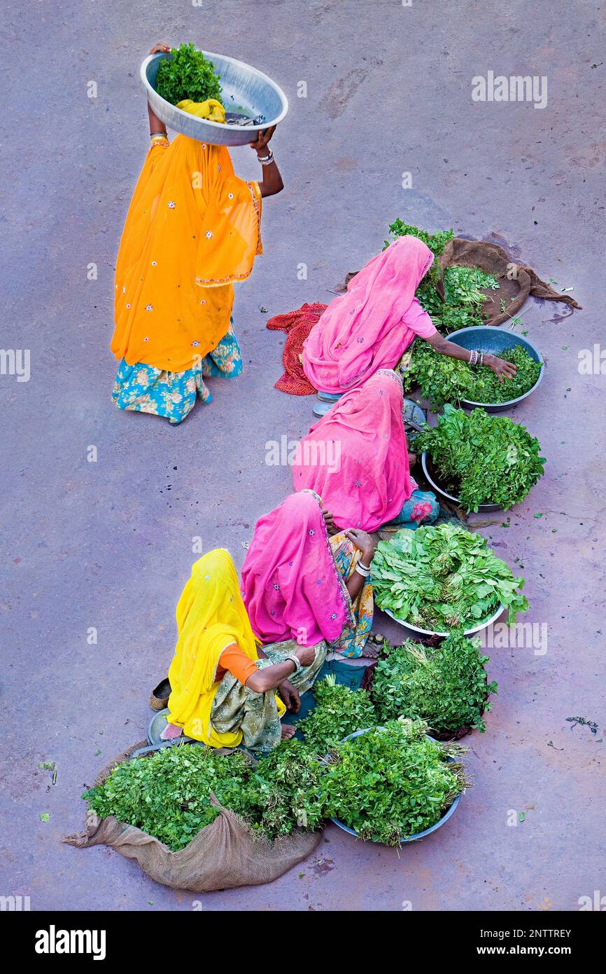 Laxmi market,pushkar, Rajasthan, india Stock Photo - Alamy