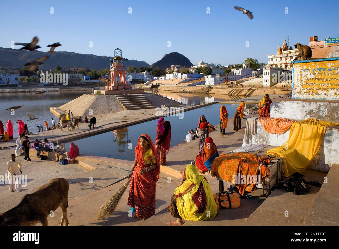 Ghat, holy lake,pushkar, Rajasthan, india Stock Photo - Alamy