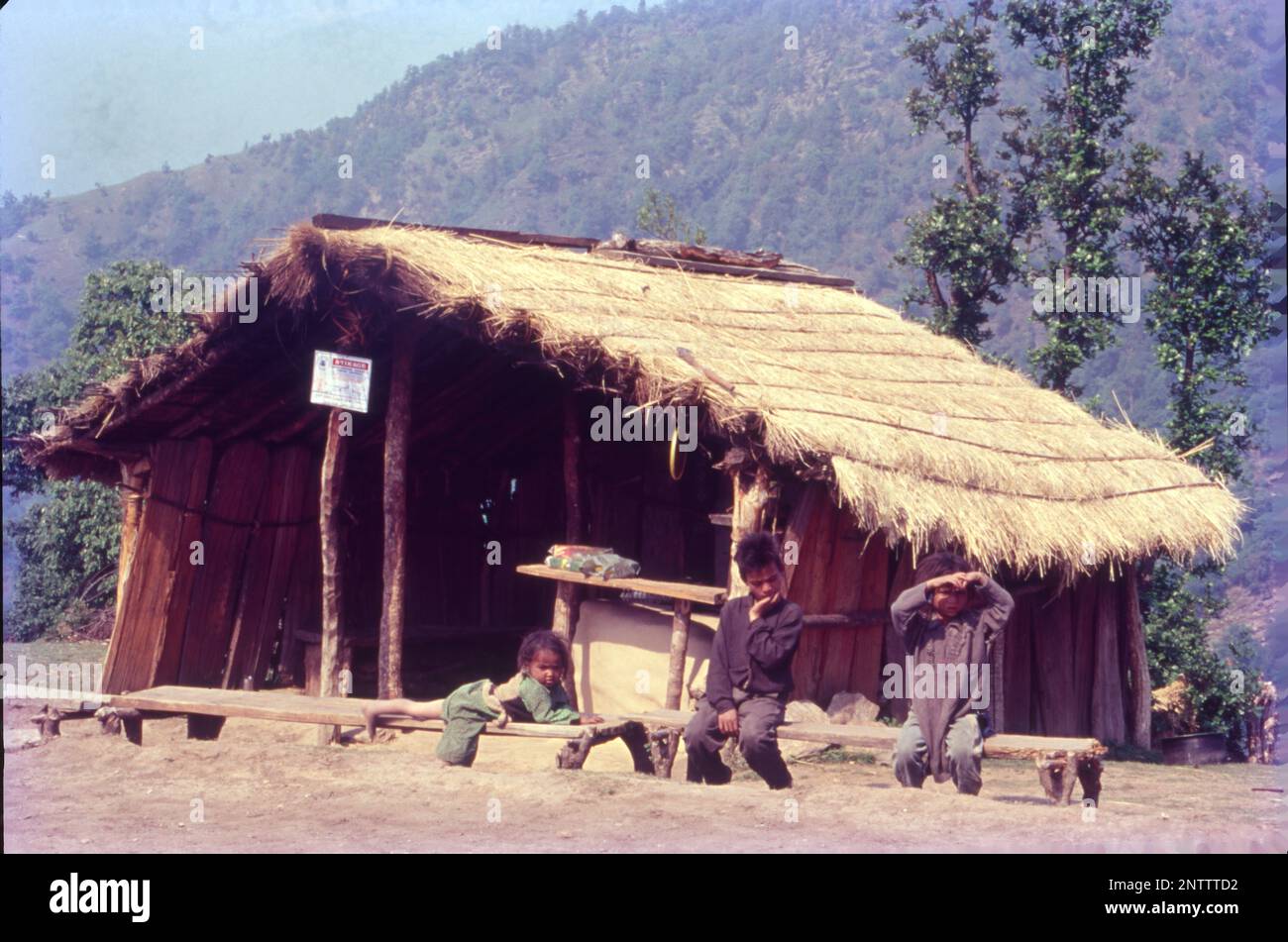Way Side Tea Stall, Dhakoli, Himalaya's, India Stock Photo - Alamy