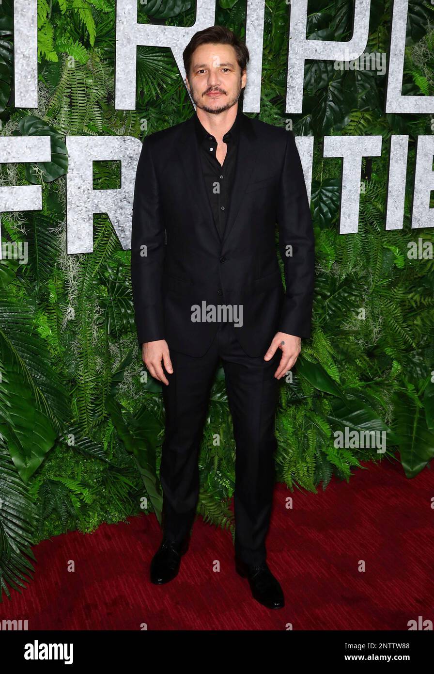 Photo by: zz/John Nacion/STAR MAX/IPx 2019 3/3/19 Pedro Pascal at the ...