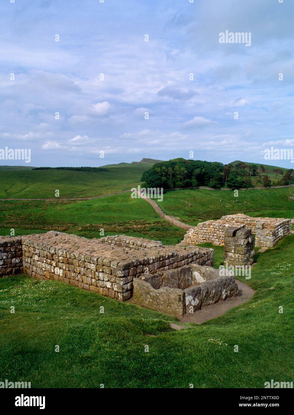 Roman enemy hi-res stock photography and images - Alamy