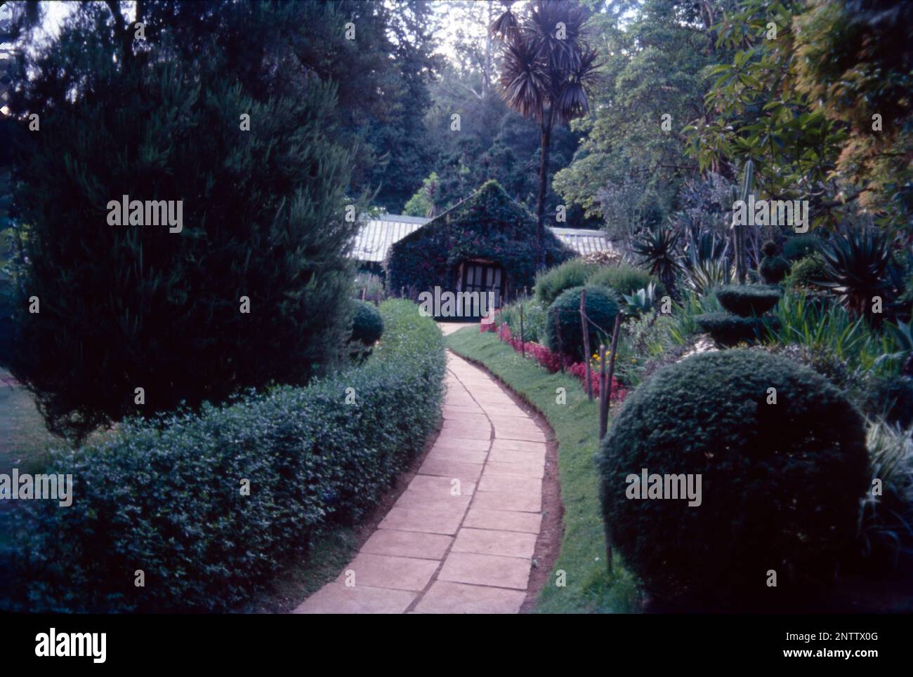 Ooty glass house hi-res stock photography and images - Alamy