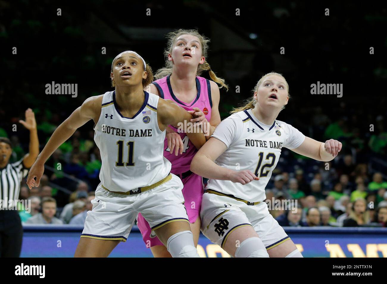 SOUTH BEND, IN - MARCH 03: Notre Dame Fight Irish forward Brianna ...