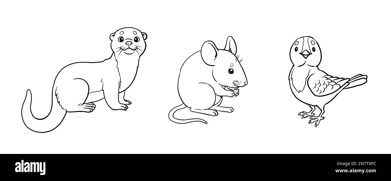 Cute mouse, otter and bird to color in. Template for a coloring book ...