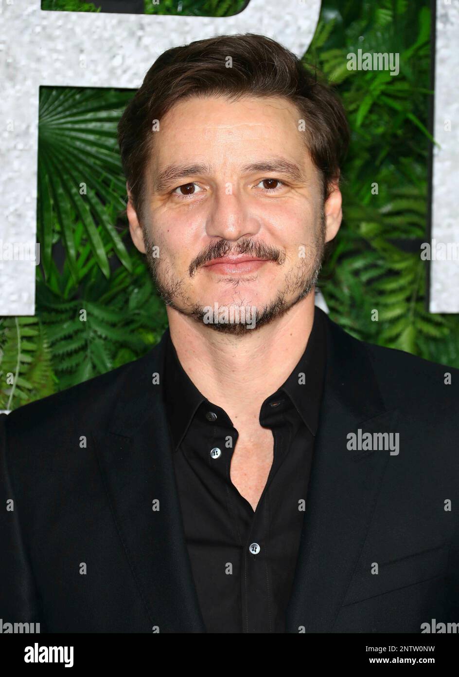 Photo by: John Nacion/STAR MAX/IPx 2019 3/3/19 Pedro Pascal at the ...
