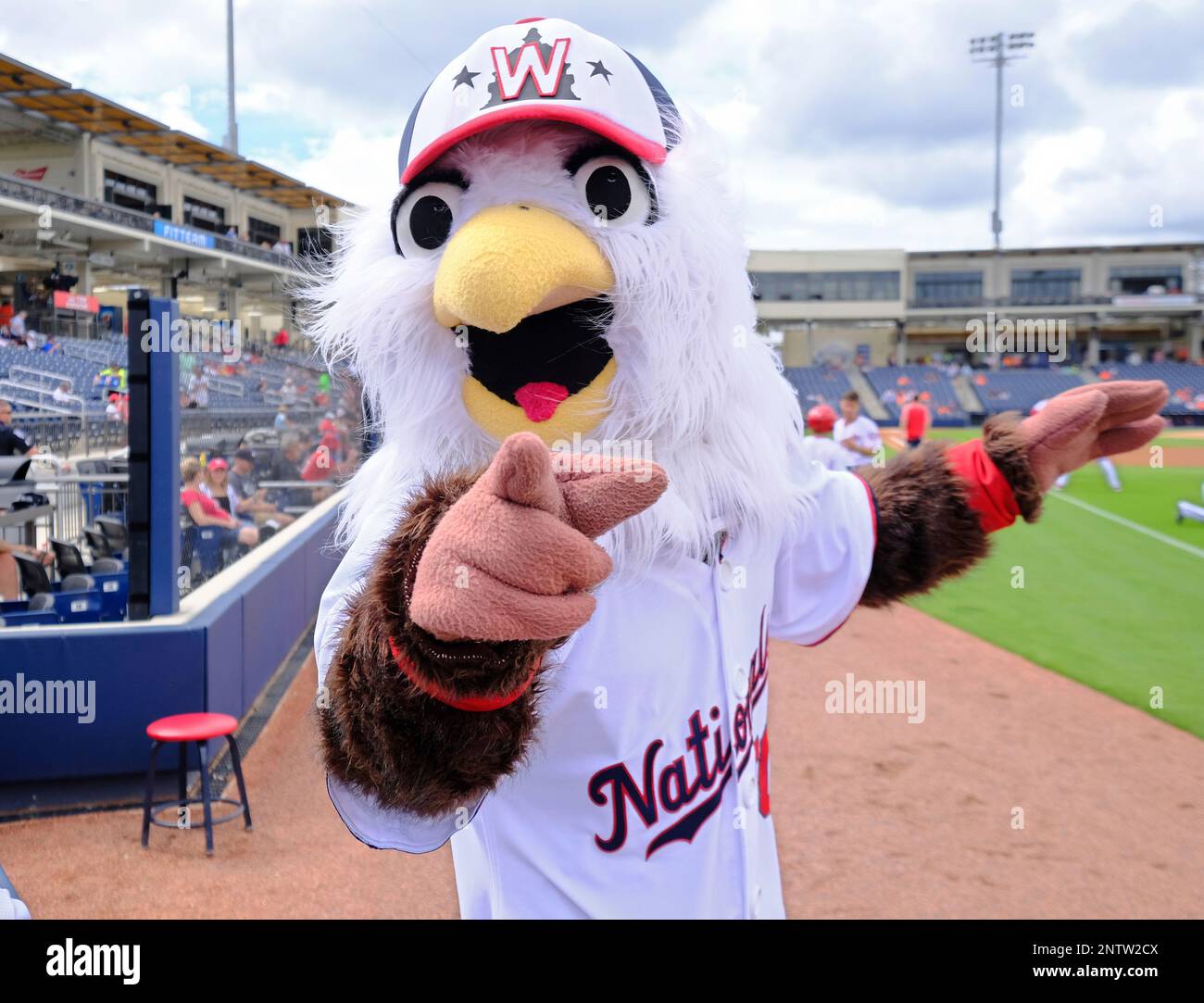 Washington Nationals mascot Screech before a spring training game ...