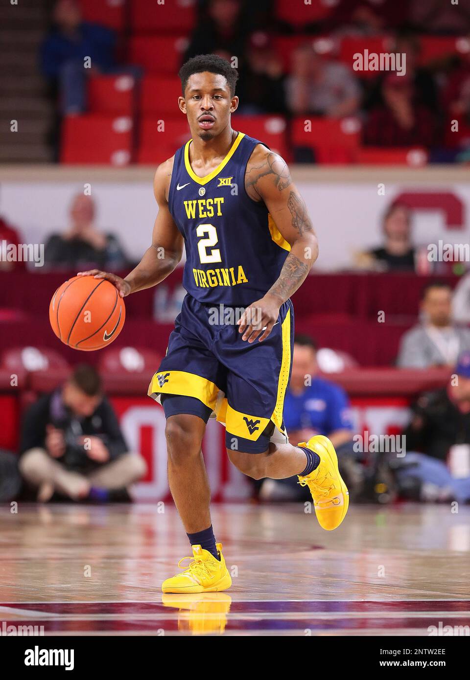 NORMAN, OK - MARCH 02: West Virginia Mountaineers Guard Brandon Knapper ...