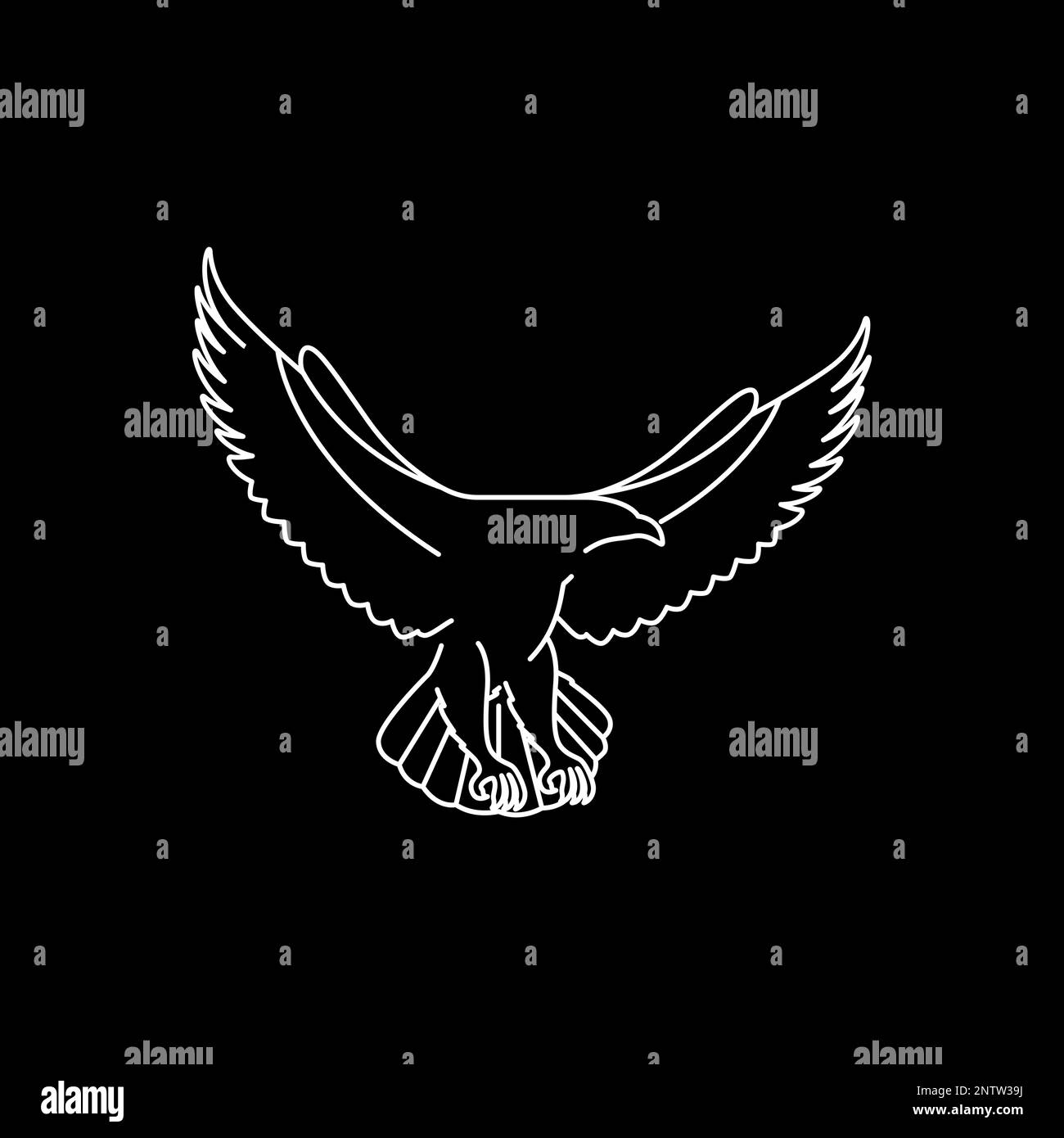 animal bird flying eagle hunting line art minimalist logo design vector Stock Vector Image & Art ...