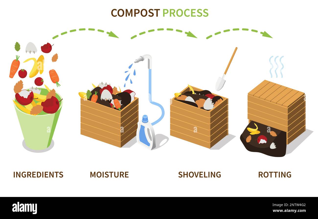 Composting boxes 3d infographics with diagram of compost process with ... Composting boxes 3d infographics with diagram of compost process with ...