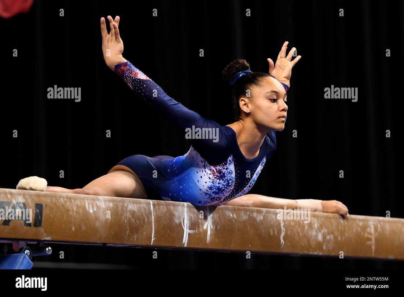 March 2, 2019 - Greensboro, North Carolina, US - CELIA SERBER from ...
