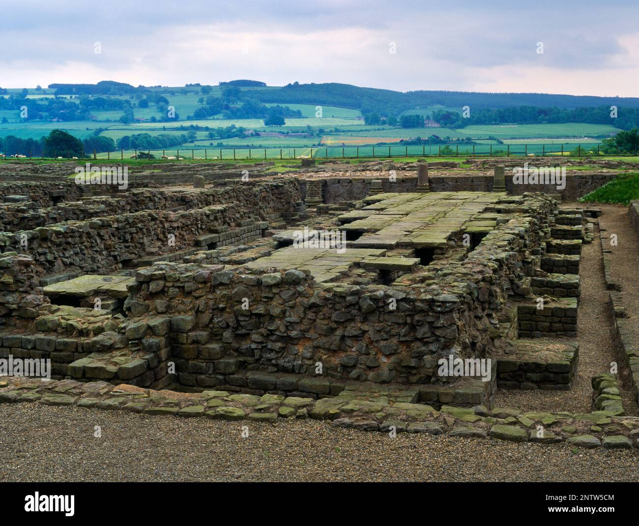 The rear of the W granary at Corbridge Roman Town, Northumberland ...