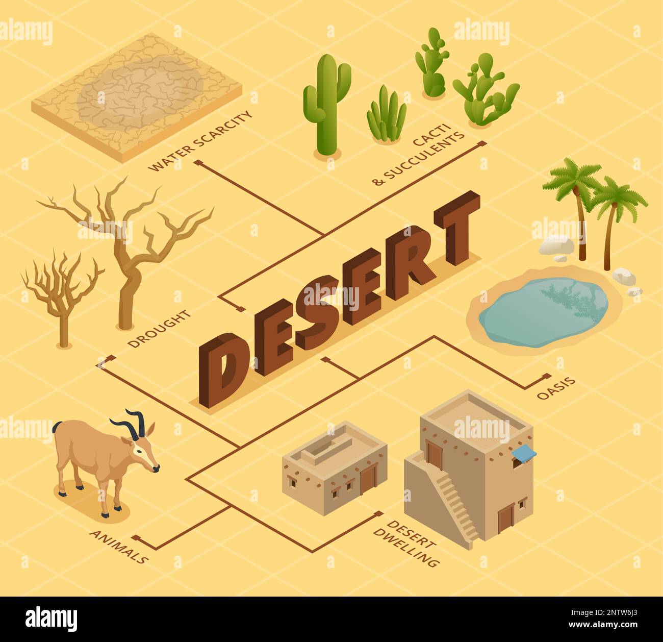 Desert isometric flowchart depicting water scarcity drought animals ...