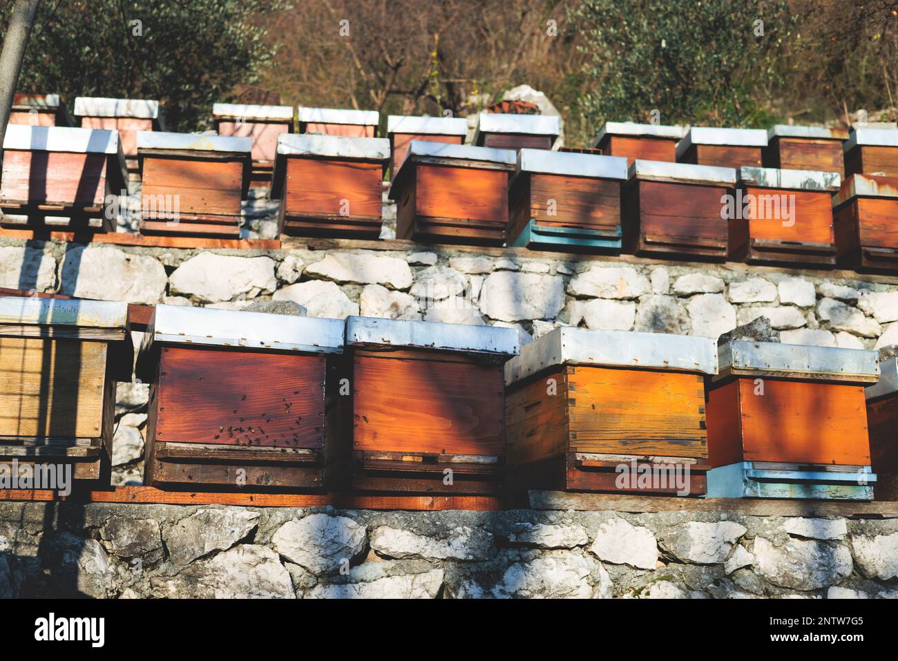 Summer view of rural apiary and honey production in Balkan peninsula ...