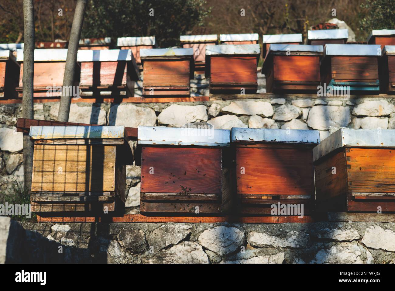 Summer view of rural apiary and honey production in Balkan peninsula ...