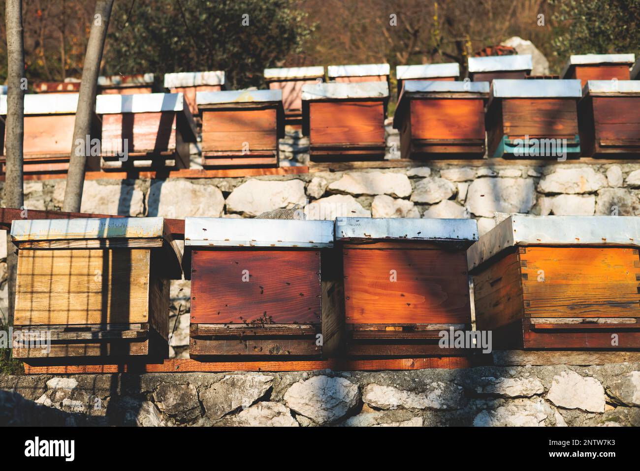 Summer view of rural apiary and honey production in Balkan peninsula ...