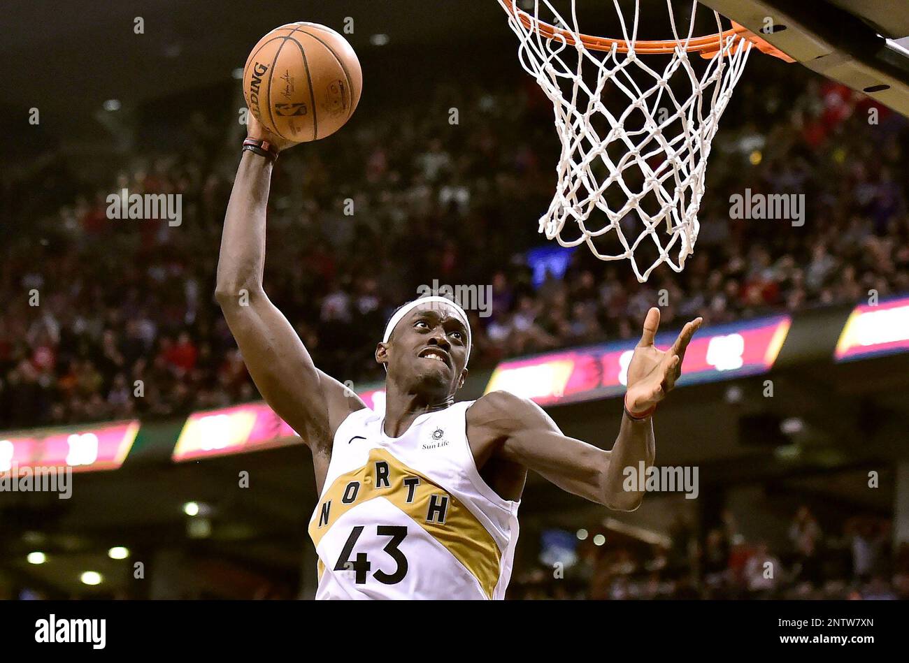 Toronto Raptors forward Pascal Siakam (43) prepares to dunk against the ...