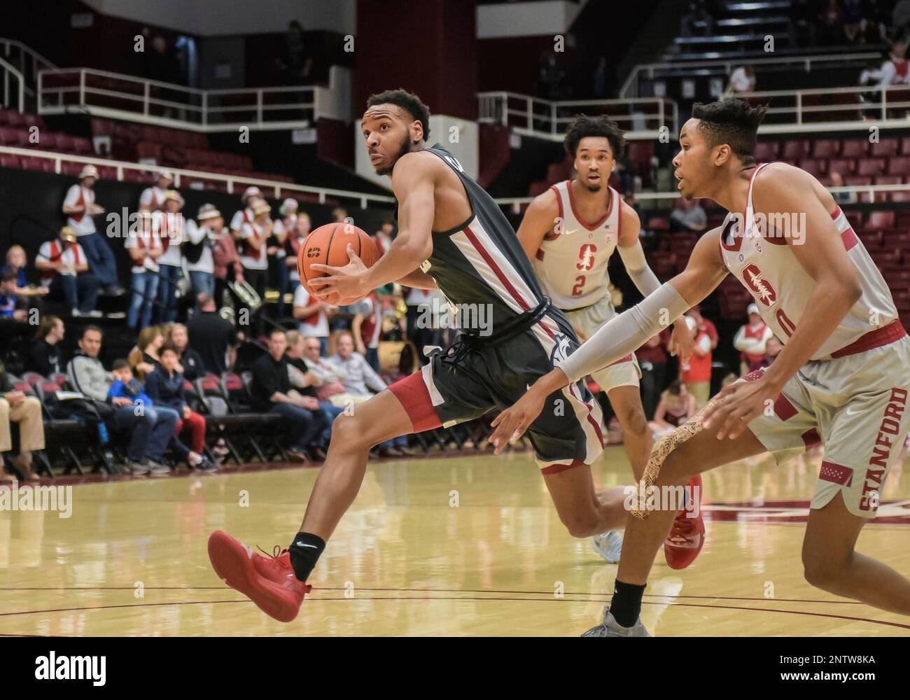 PALO ALTO, CA - FEBRUARY 28:Washington State Cougars forward Marvin ...