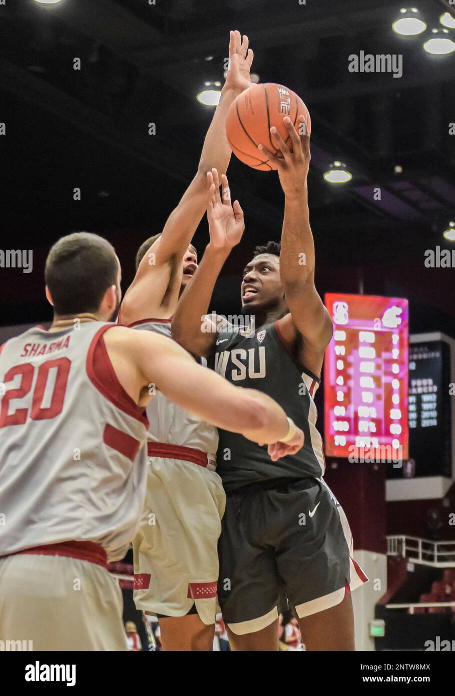 PALO ALTO, CA - FEBRUARY 28: Washington State Cougars forward Marvin ...