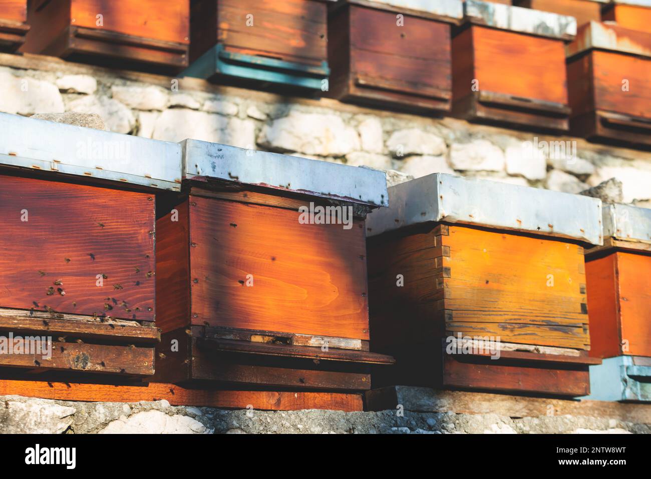 Summer view of rural apiary and honey production in Balkan peninsula ...