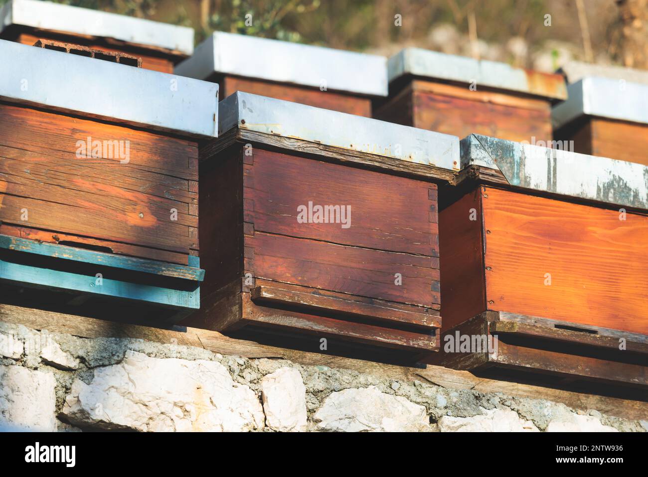 Summer view of rural apiary and honey production in Balkan peninsula ...