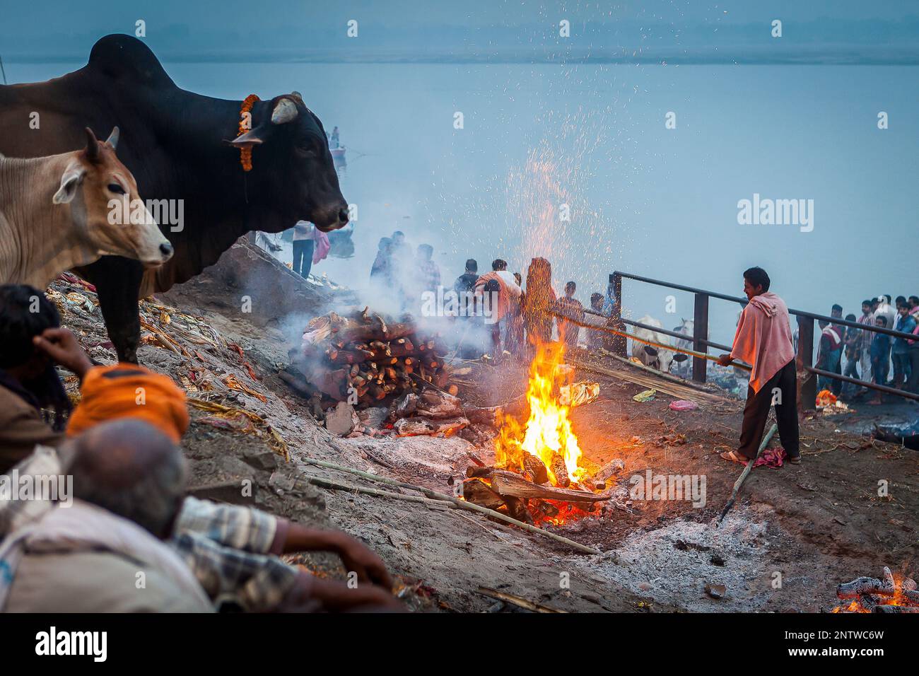 Cremation of bodies, in Manikarnika Ghat, the burning ghat, on the ...