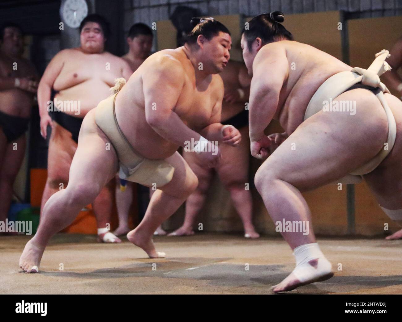 Sumo wrestlers of Tokitsukaze stable take part in a training prior to ...